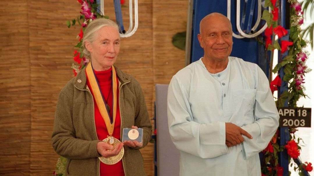 Video #317: In Loving Memory of Jane Goodall – A Tribute to a Life of ...